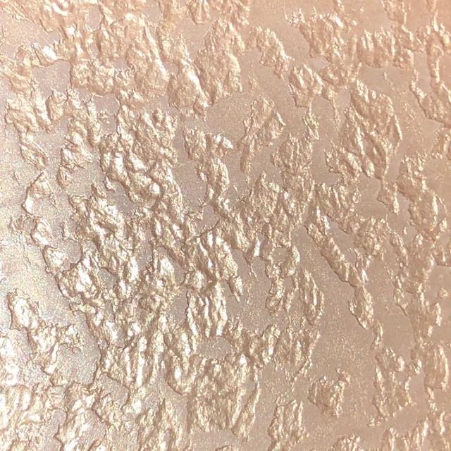 Metallic Champagne Paint Color