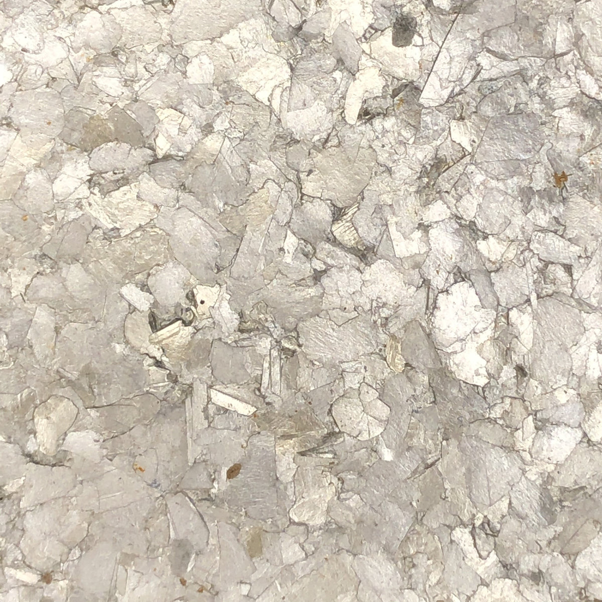 Fresco Mica Decorative Venetian Plaster – Studio Äix